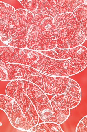 Probiotics and Gut Health in Athletes - Aspen Nutrition